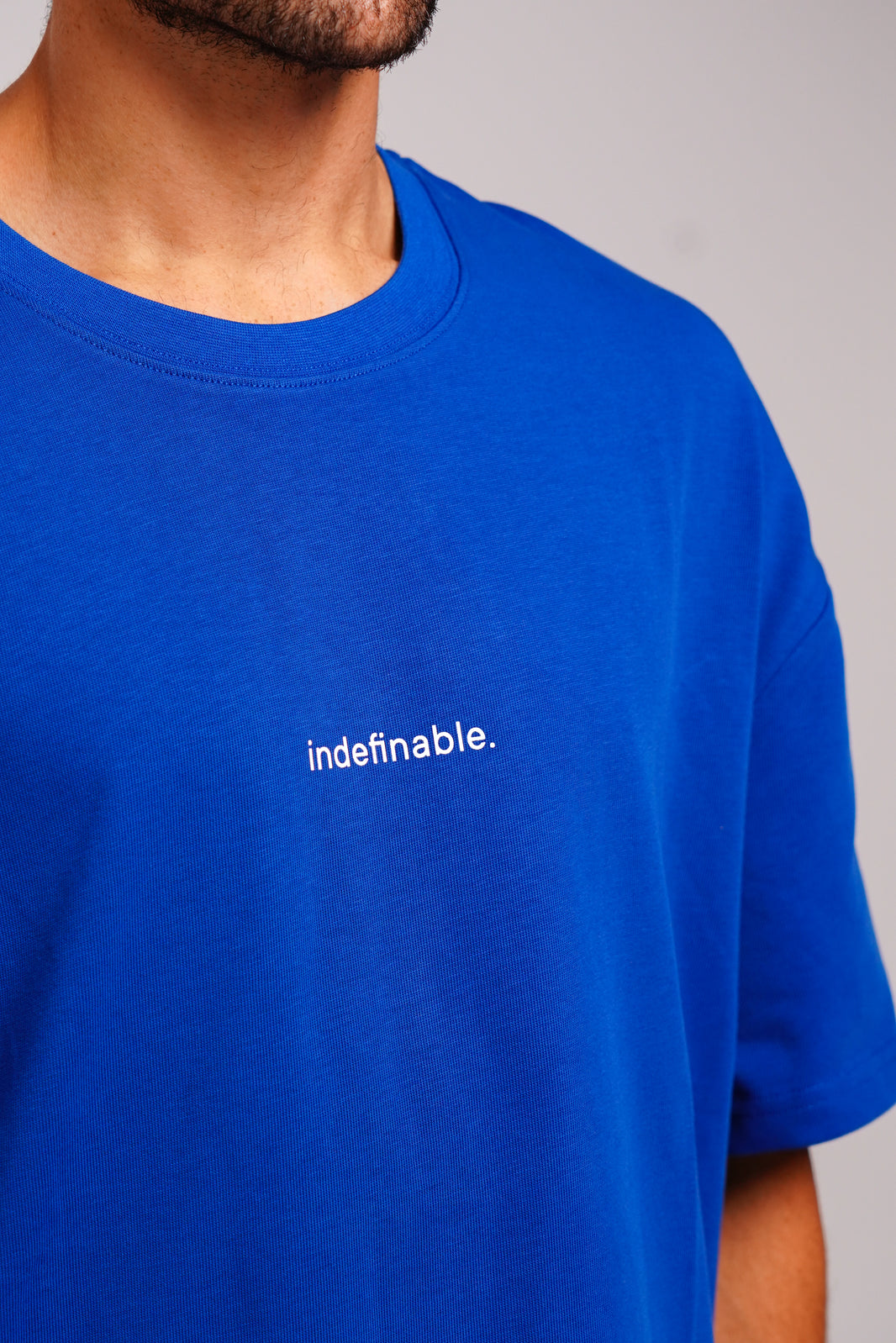 v – Indefinable The Label